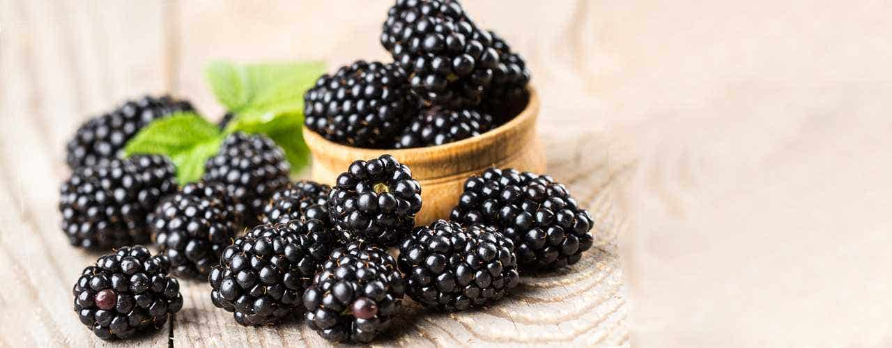 One of the best food sources of Ellagic acid, Anthocyanins, and ...